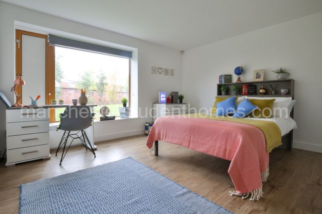Student accommodation in Manchester - houses homes flats housing